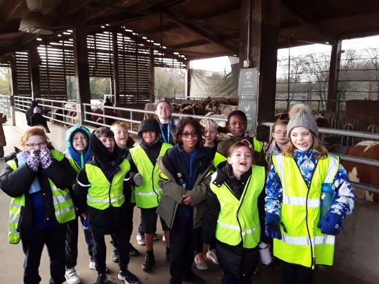 Two Waters Primary School - 28th November Bhaktivedanta Manor