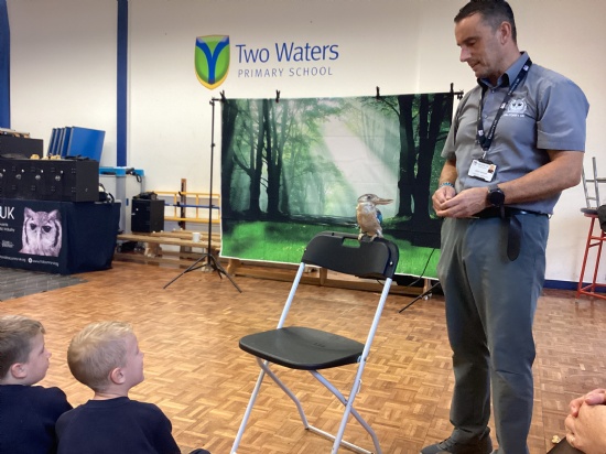 Two Waters Primary School - 7th October Having a hoot in Year 1